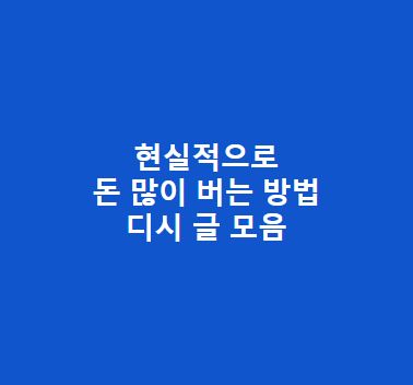 현실적으로 돈 많이 버는 방법 디시 글 모음